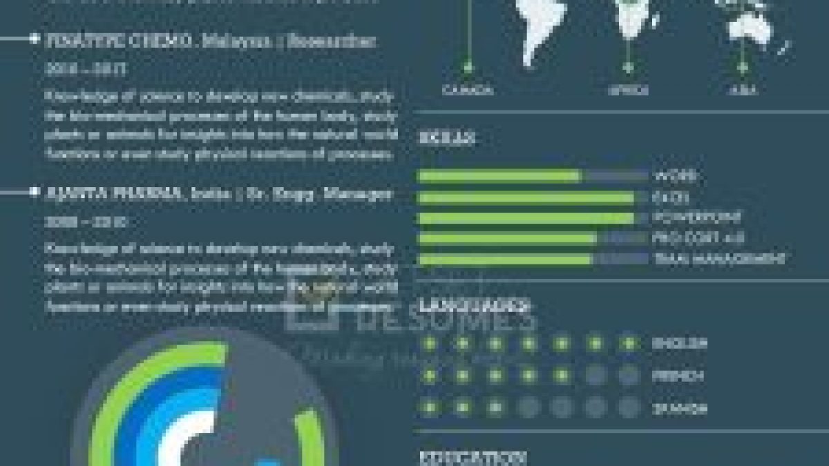 Infographic Resume Map