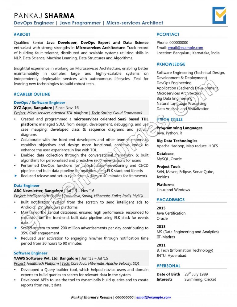 Online International Resume Format For Experienced IT Professionals ...